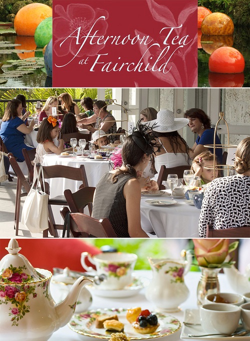 Afternoon Tea at Fairchild Gardens: Your guide to high tea glory ...