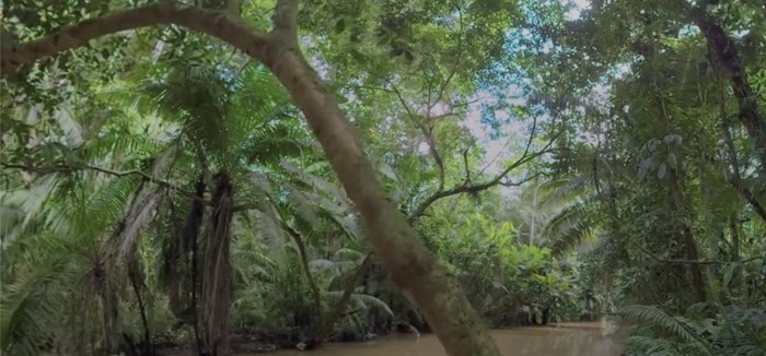 The Top 20 Virtual Tours to Take When Social Distancing ...