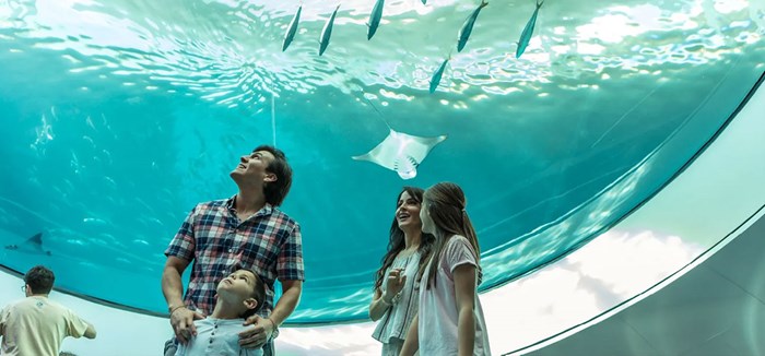 July Events! Here’s Your List of Fun Things to do in Miami this Month ...