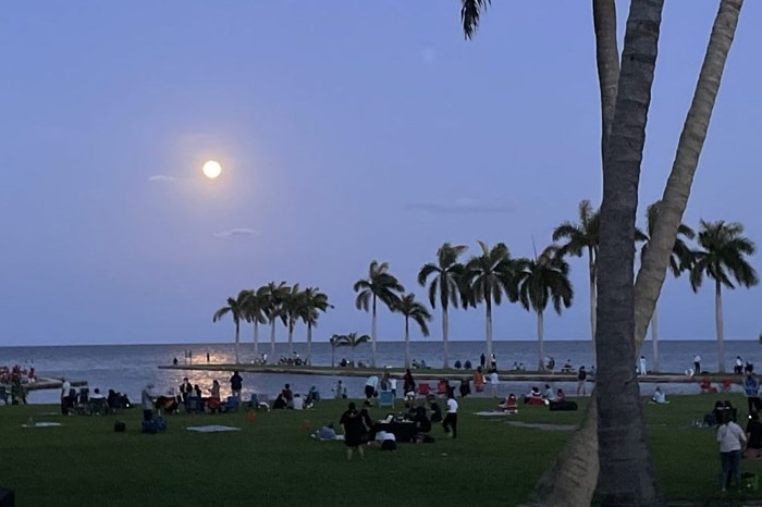 Miami September 2021 Events: End of Summer Spice, Film Festivals ...