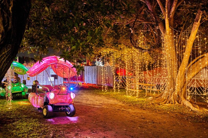 Art With Me Miami: Art, Food, Music, Sustainability & Wellness in One ...